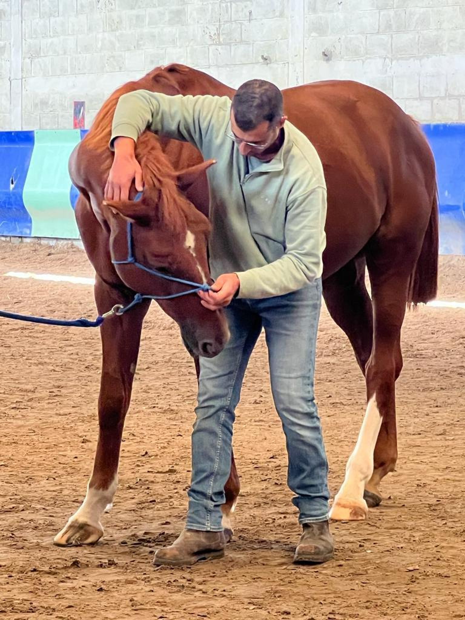 Pourquoi pratiquer l’ostéopathie animale dans notre société actuelle ...